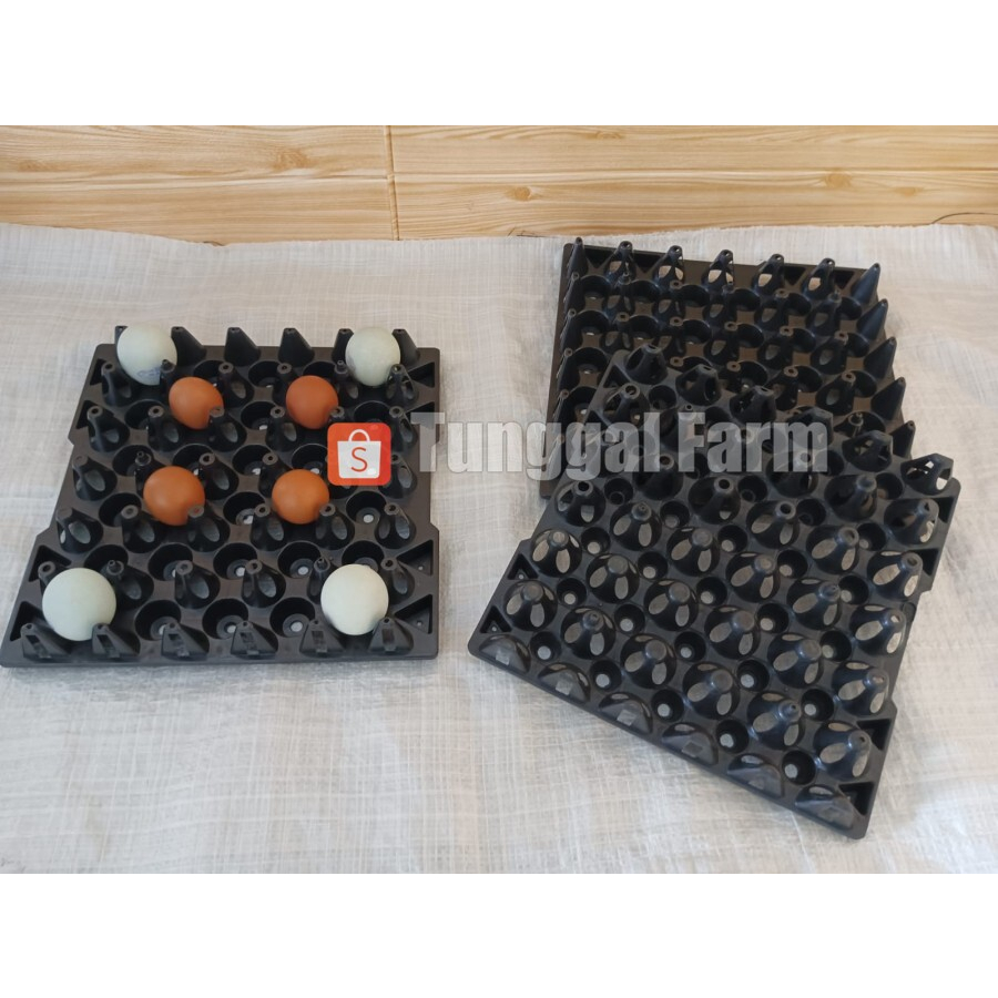 Jual EGGTRAY HITAM KECIL 10 BIJI /TEMPAT TELUR/ WADAH TELUR/ EGG TRAY ...