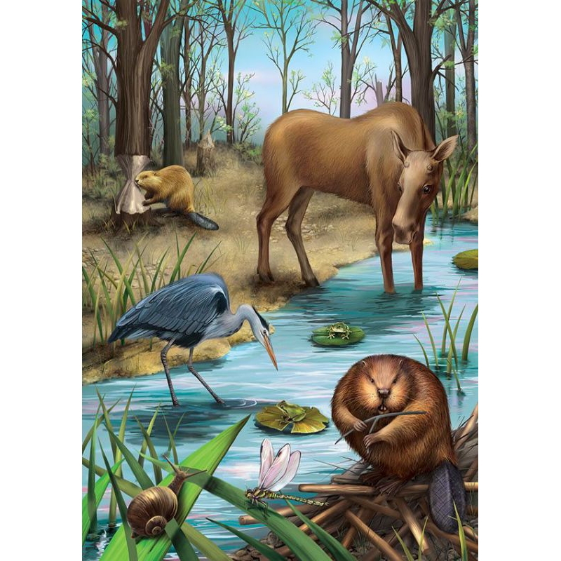 Jual hiasan dinding cetak binatang plus bingkai real pict ukuran 65*45 ...