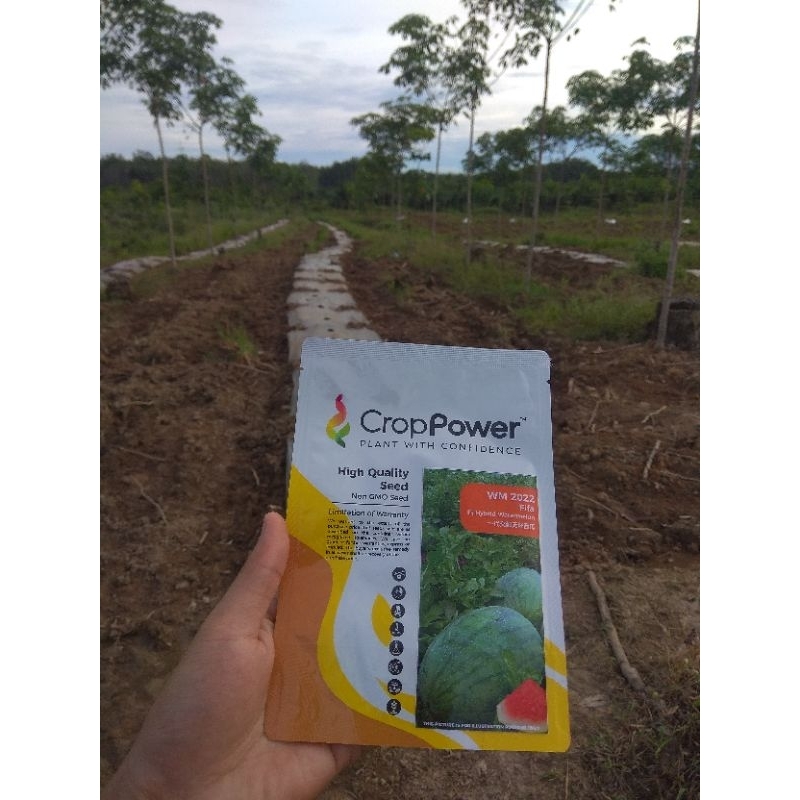 Jual Benih Crop Power ORI 100% | Shopee Indonesia