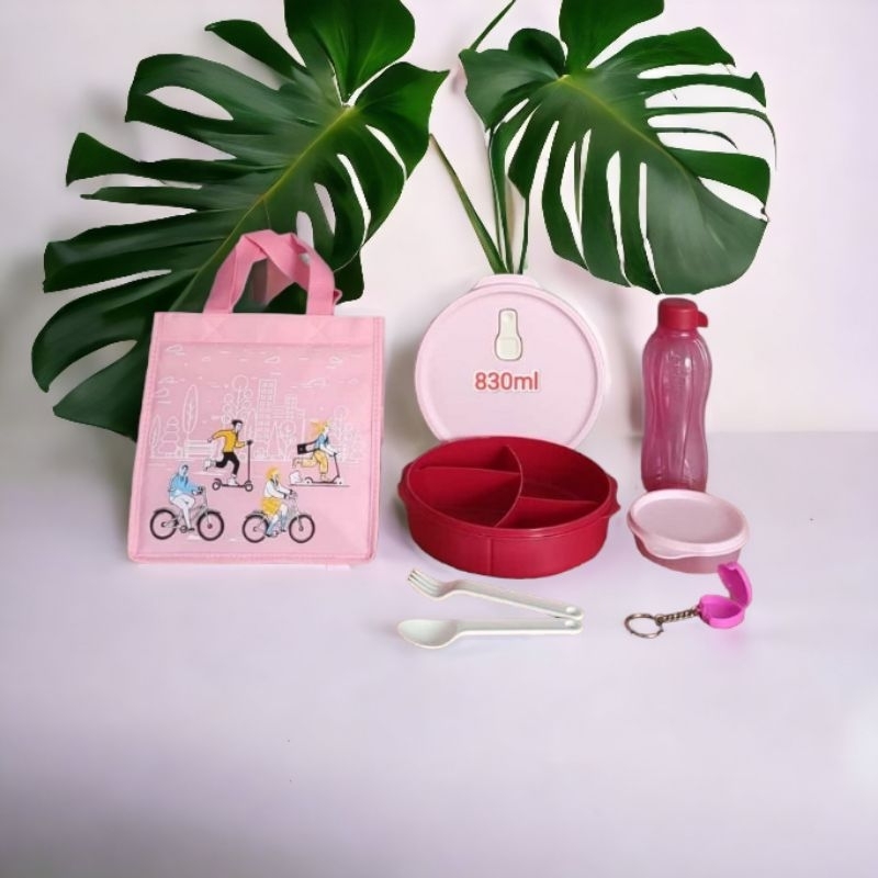 Jual Wadah Tempat Bekal Makan Makanan Botol Minum Set Tas Fit To Go ...
