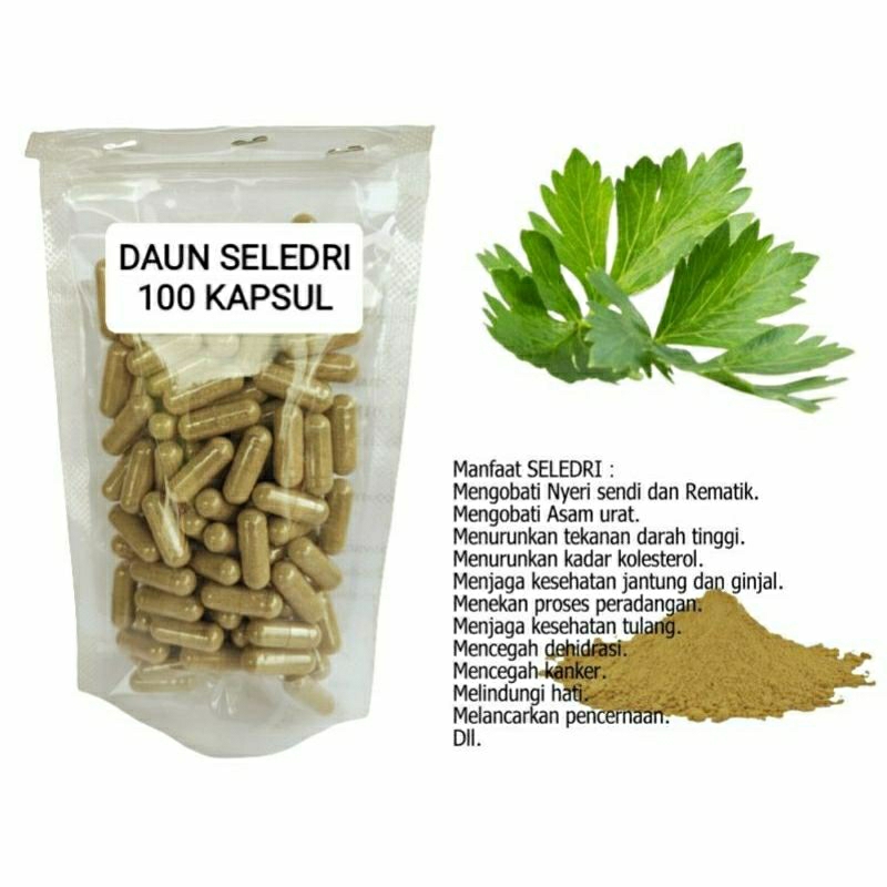 Jual DAUN SELEDRI 100 KAPSUL OBAT HERBAL TERBAIK TOPP SELLER JATIM ...