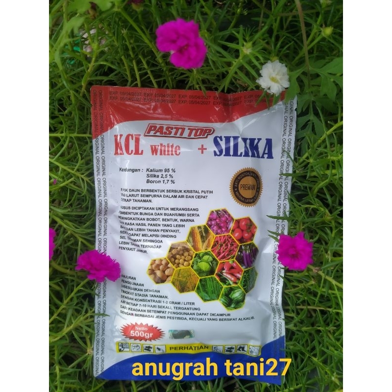 Jual KCL WHITE +SILIKA isi:500gr produk original | Shopee Indonesia