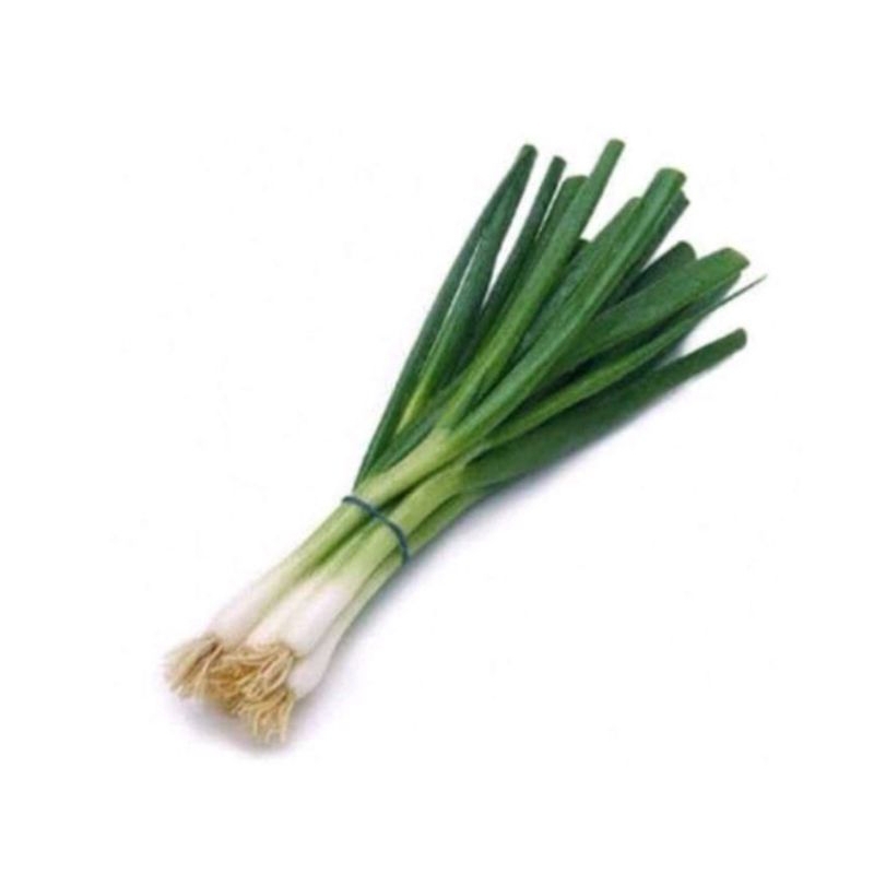 Jual daun bawang prei 1 ikat tanpa akar | Shopee Indonesia