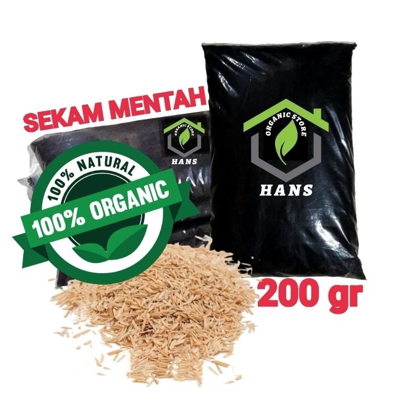 Jual Media tanam sekam mentah murni premium - pupuk organic sekam ...