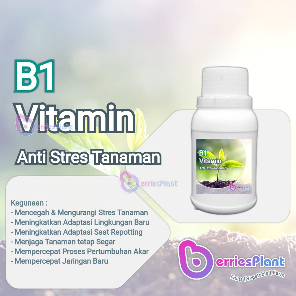 Jual Obat Anti Stres Tanaman B1 VITAMIN | Pupuk Tanaman | Pupuk Majemuk ...