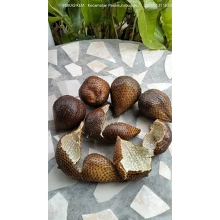 Jual Kulit Salak Terlengkap & Harga Terbaru Juli 2024 | Shopee Indonesia