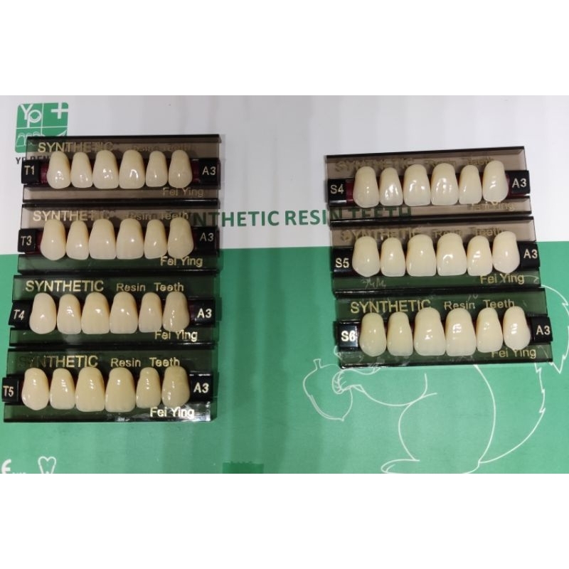 Jual Warna A3 YP Synthetic Anasir Artificial Gigi Palsu Depan Anterior ...