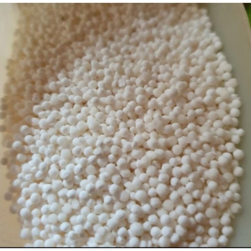 Jual Sagu mutiara 1 kg Thailand Sago Seeds pearl bubur biji mutiara ...
