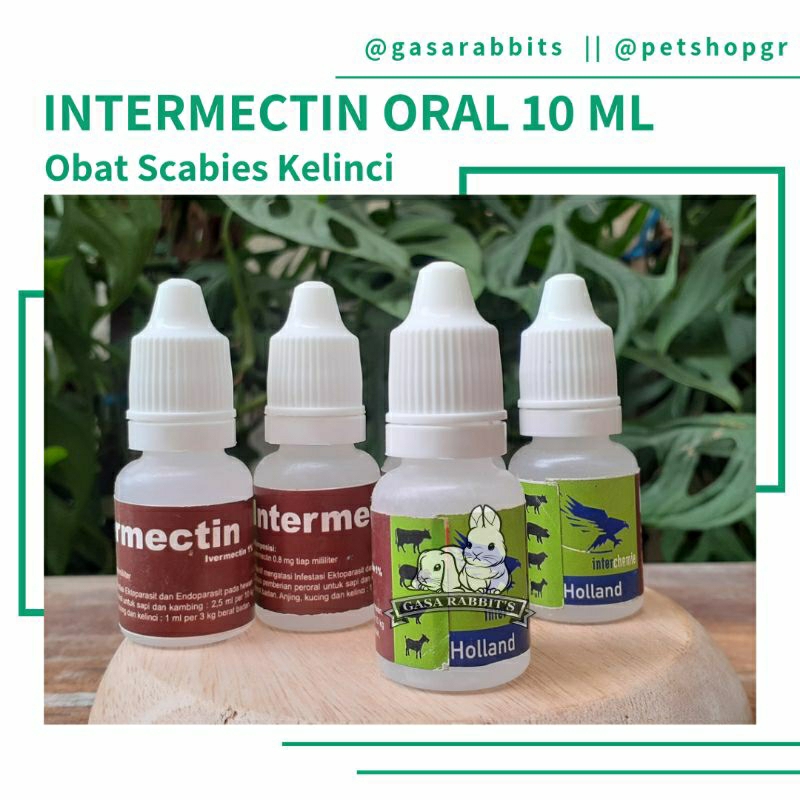 Jual OBAT SCABIES INTERMECTIN ORAL - OBAT SCABIES KELINCI - OBAT ...