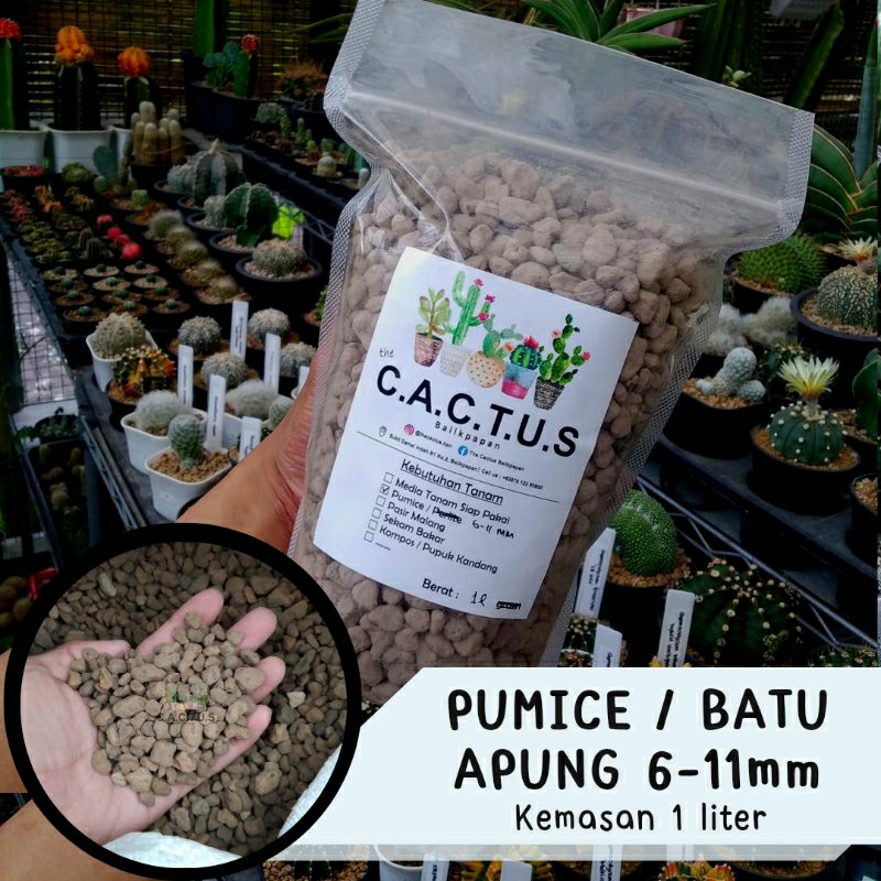 Jual Pumice / Batu Apung Ukuran 6-11 mm Media Tanam Kaktus Sukulen ...
