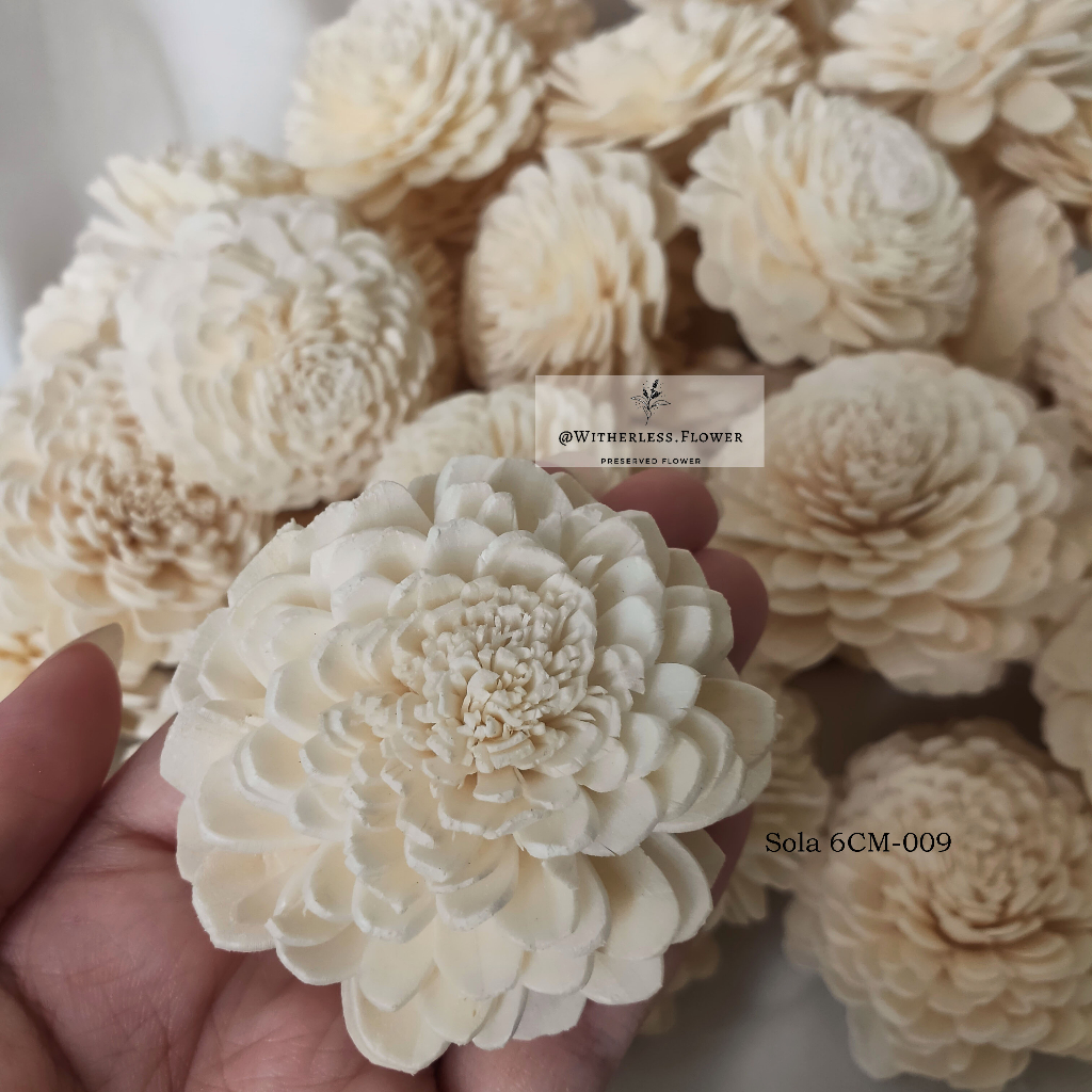 Jual Bunga Sola Wood Flowers 6 CM / Bunga Kayu | Shopee Indonesia