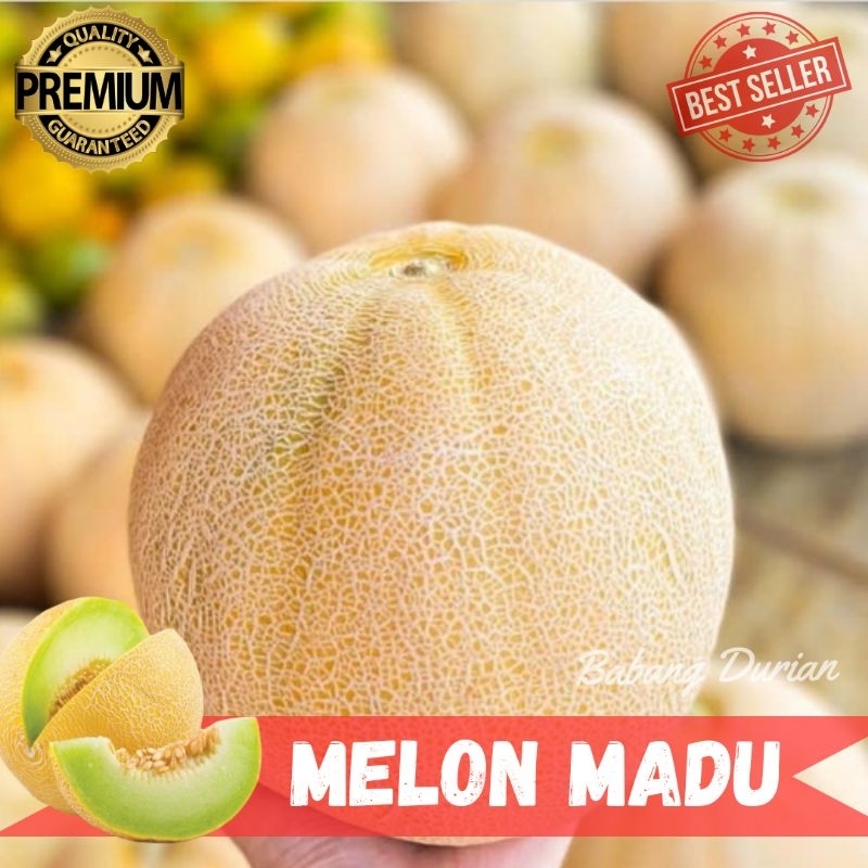 Jual BUAH MELON MADU FRESH | Shopee Indonesia
