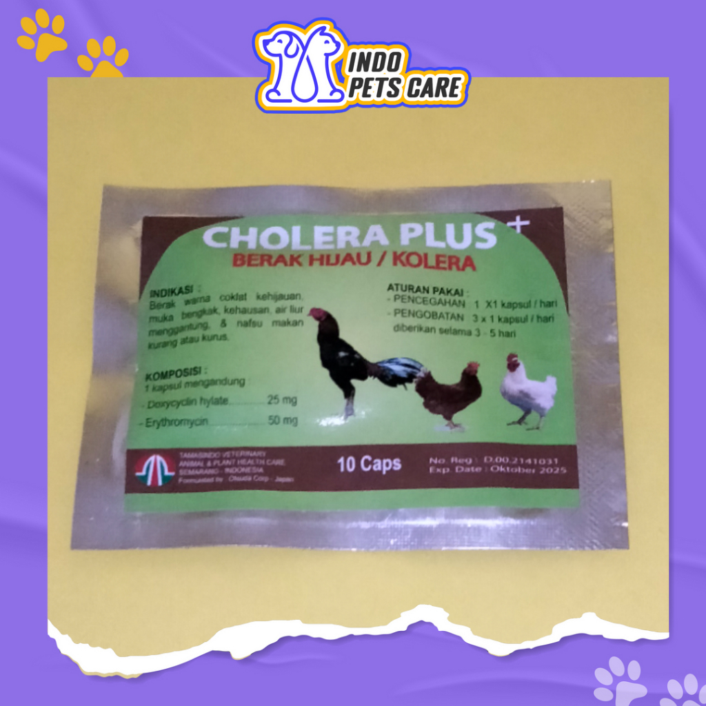 Jual CHOLERA PLUS KAPSUL - OBAT CHOLERA AYAM, MUKA BENGKAK KELOREN ...