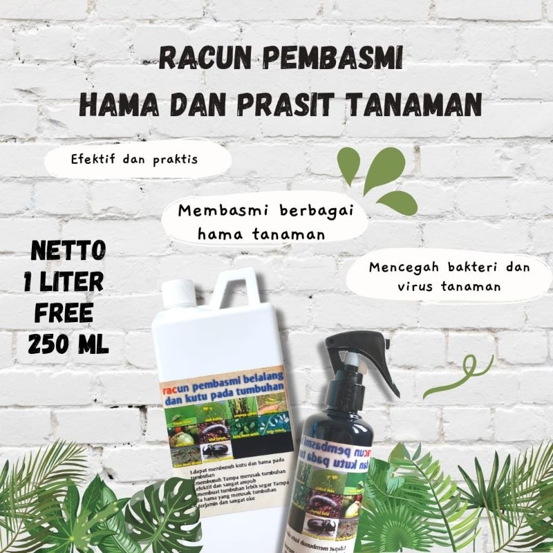 Jual pembasmi hama tanaman kutu putih dan hama lainnya isi 1 liter free ...