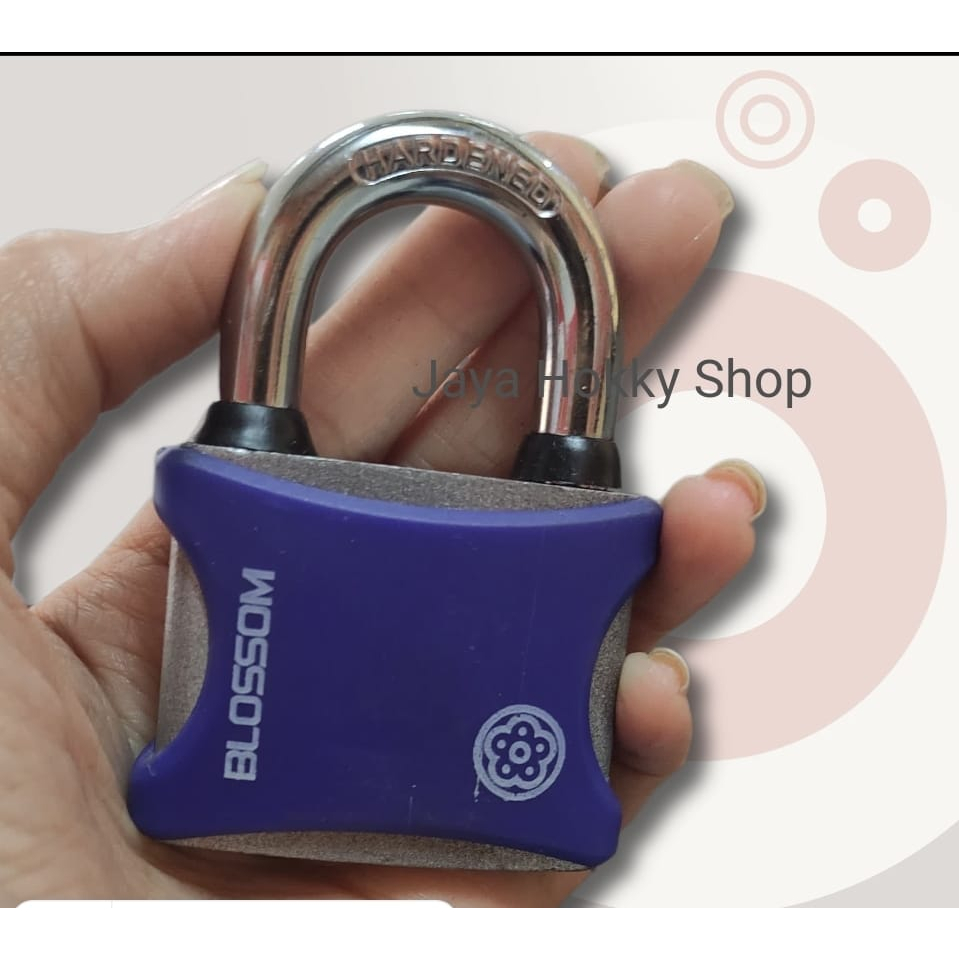 Jual Gembok pagar Blossom besar anti maling 38mm (Warna) | Shopee Indonesia