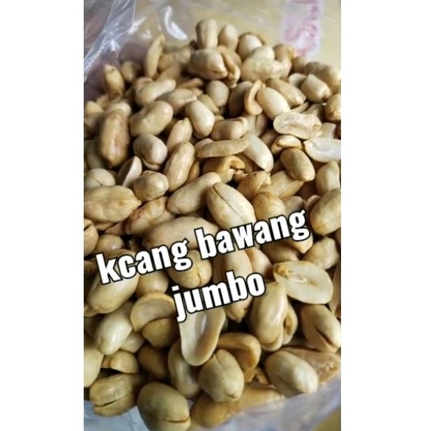 Jual KACANG BAWANG BALI KASUARI/ KACANG BAWANG JUMBO 500GR | Shopee ...