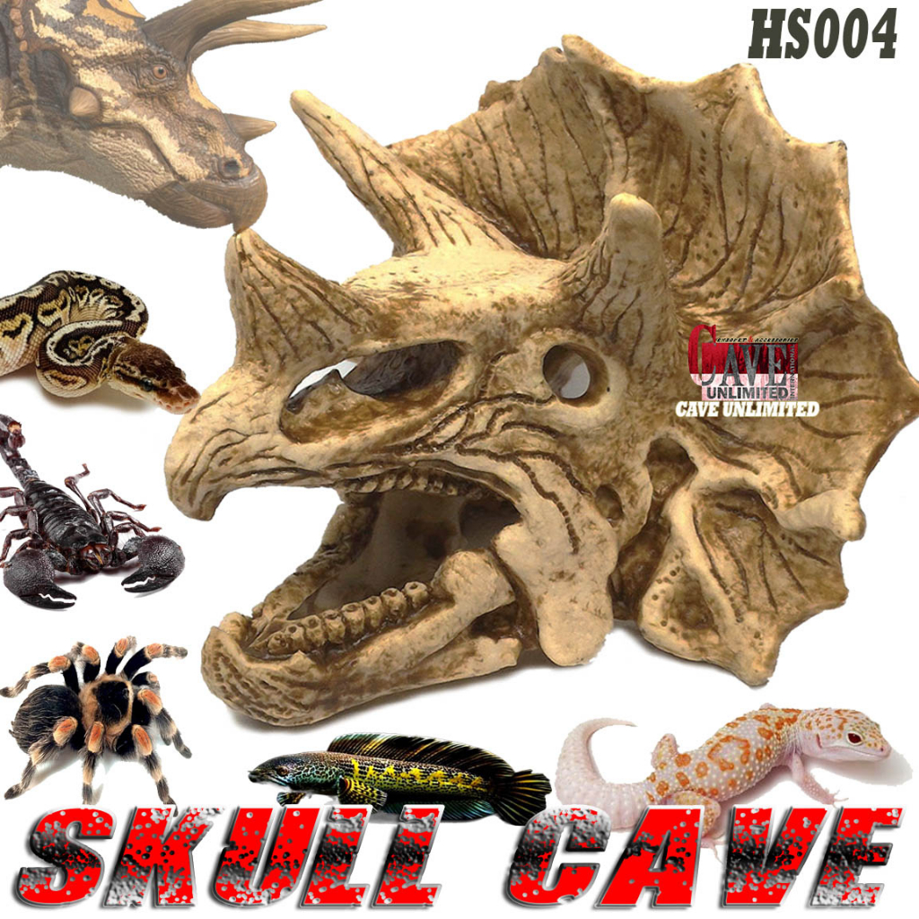 Jual HS004 HIDING SKULL FOSIL TRICERATOPS KERANGKA DINOSAURUS SKELETON ...