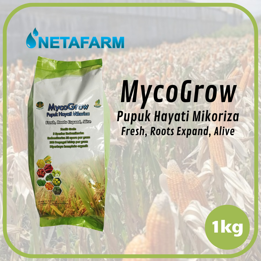 Jual Pupuk Hayati Mikoriza MycoGrow - 1 kg | Shopee Indonesia
