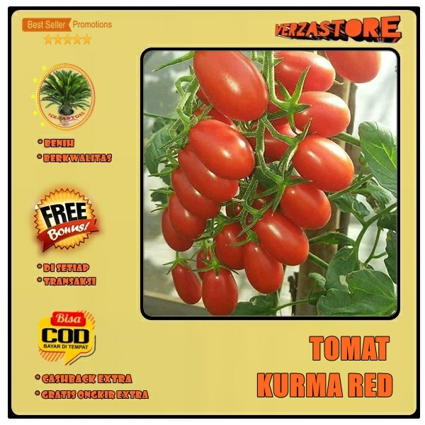 Jual biji benih buah Tomat Cherry kurma F1 Hibrida red super / 15 biji | Shopee Indonesia
