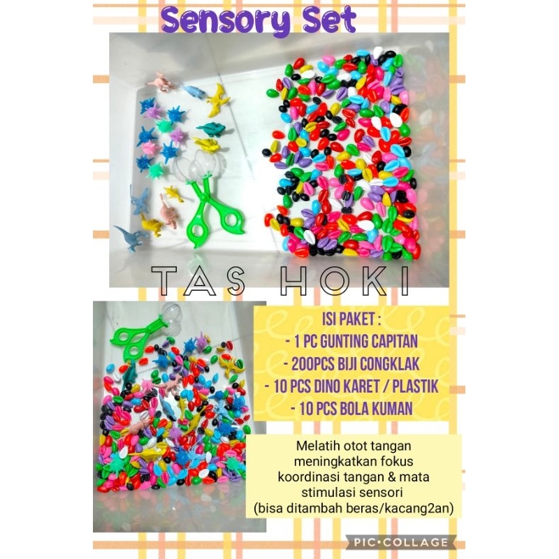 Jual Sensory Set terapi fokus / stimulasi sensori / mainan sensorik ...
