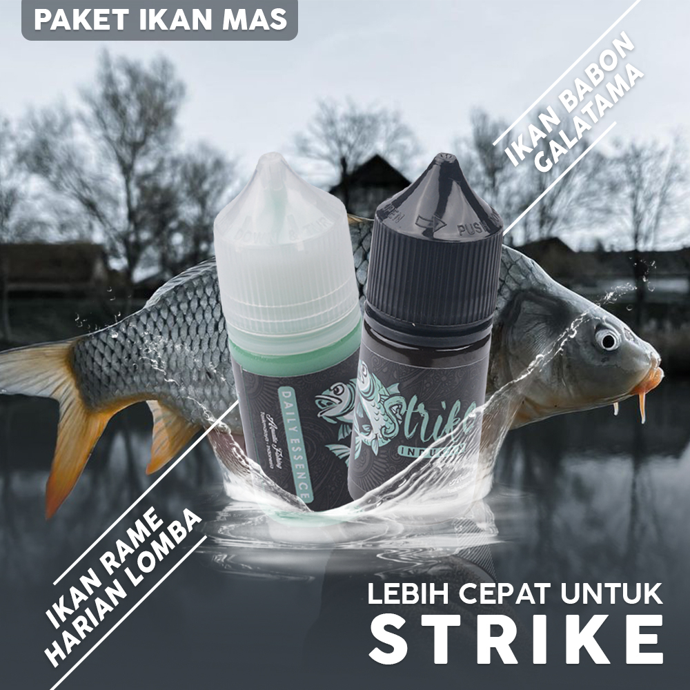 Jual Essen Ikan Mas Terbaru Paling Ampuh 1 Paket Instinct Strike Mancing Harian Lomba Galatama ...