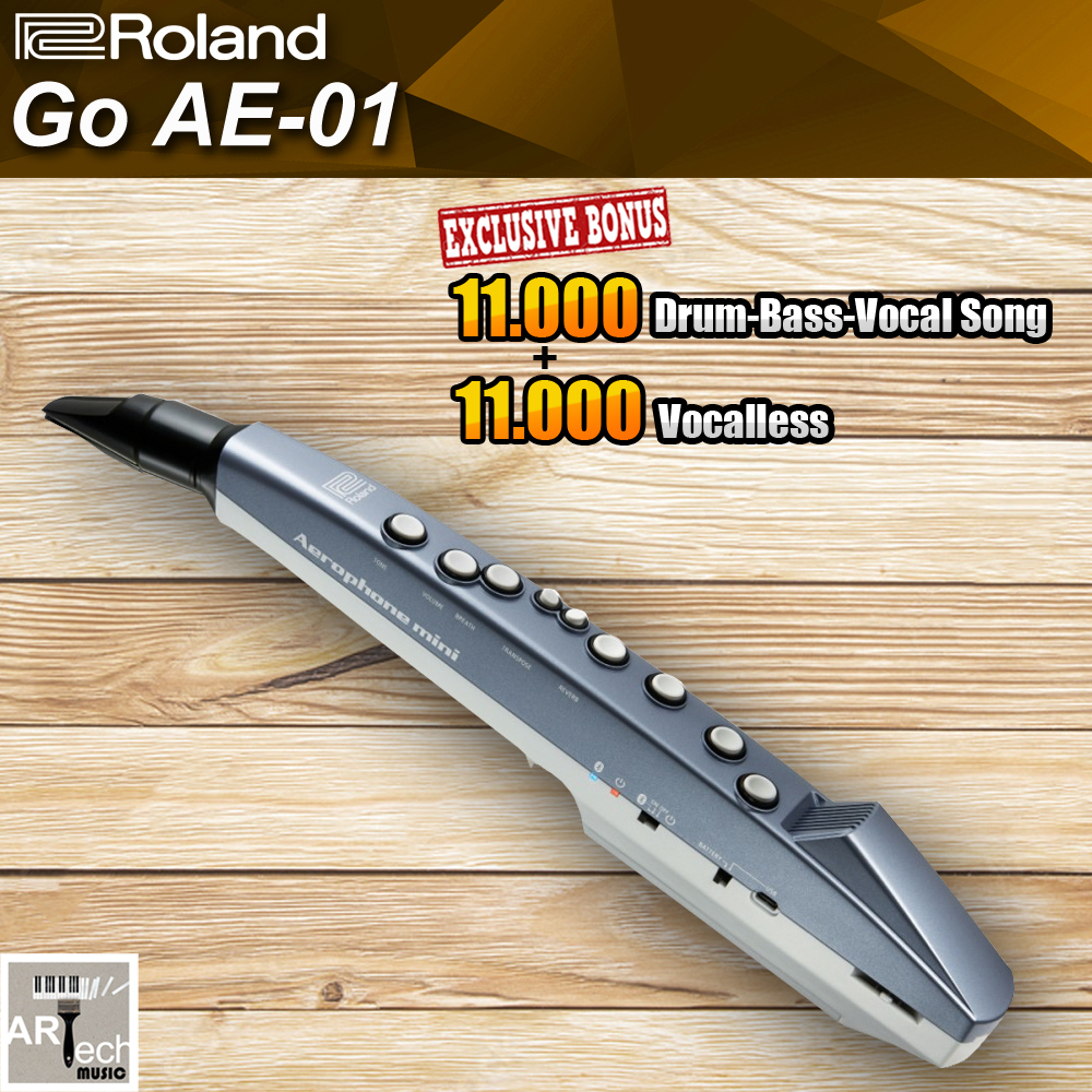 Jual Roland Go AE 01 /Go AE01 /AE 01 Aerophone Mini Digital Wind ...