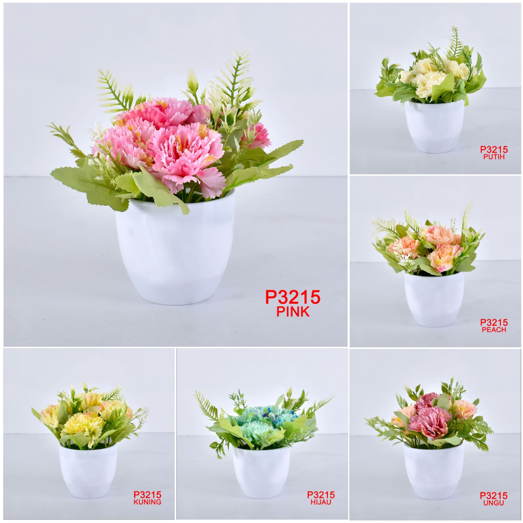 Jual COD/HMPU TANAMAN BUNGA HIAS POT TANAMAN HIAS DEKORASI RUMAH DAN ...