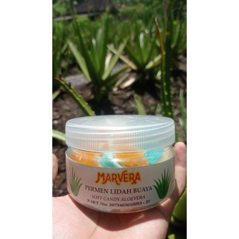 Jual Permen Jelly Lidah Buaya / Aloevera Marvera kemasan Toples 150gram ...