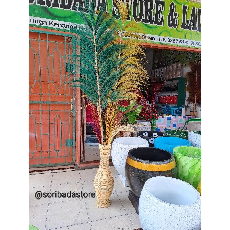 Jual Bunga Kering Rayung dan Pampas Mewah dan Estetik | Shopee Indonesia