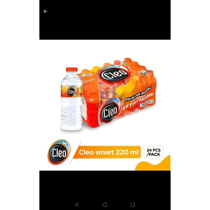 Jual Cleo Air Mineral 220ml isi 24pcs | Shopee Indonesia