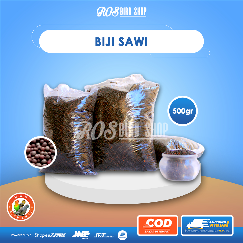 Jual 500 Biji Sawi Pakan Burung PERKUTUT, LOVE BIRD, KENARI BERSIH ...