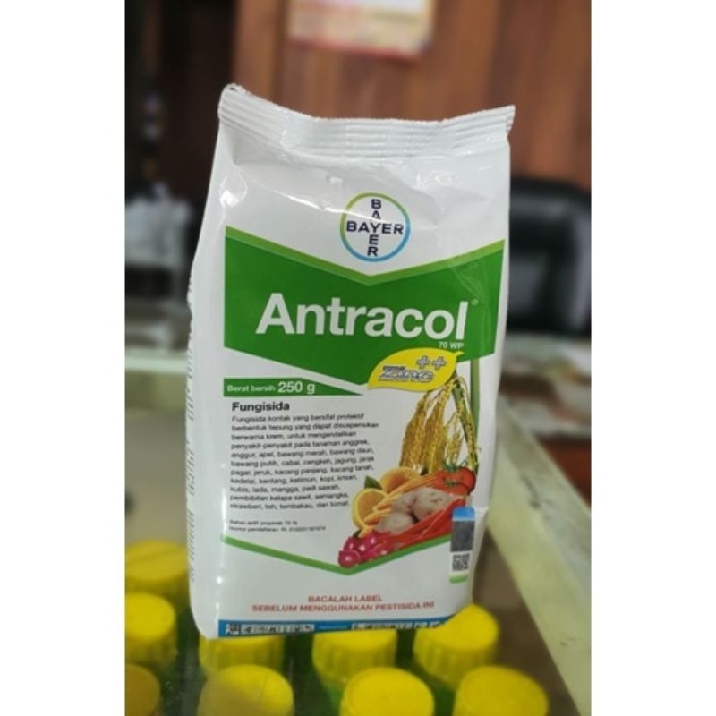 Jual antracol 70 WP 250 gram | Shopee Indonesia