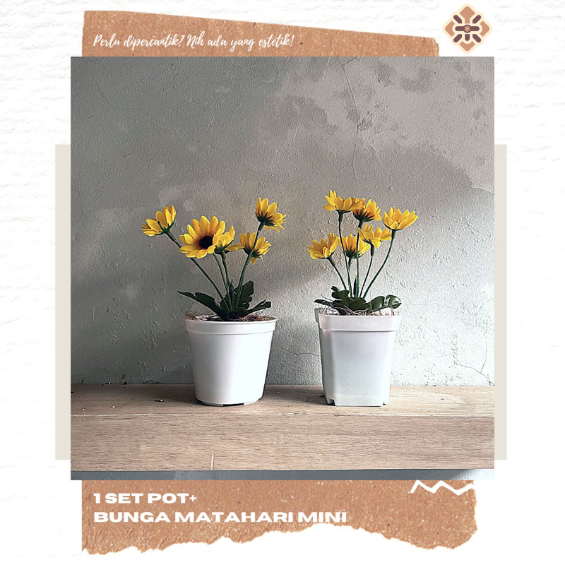 Jual 1 Set Pot + Bunga Matahari Mini Plastik Dekorasi Ruangan C ...