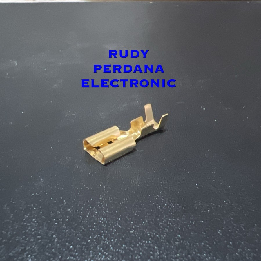 Jual TERMINAL PIN SKUN SEKUN KABEL GEPENG 6.3 GOLD FEMALE CEWEK DJ622 ...