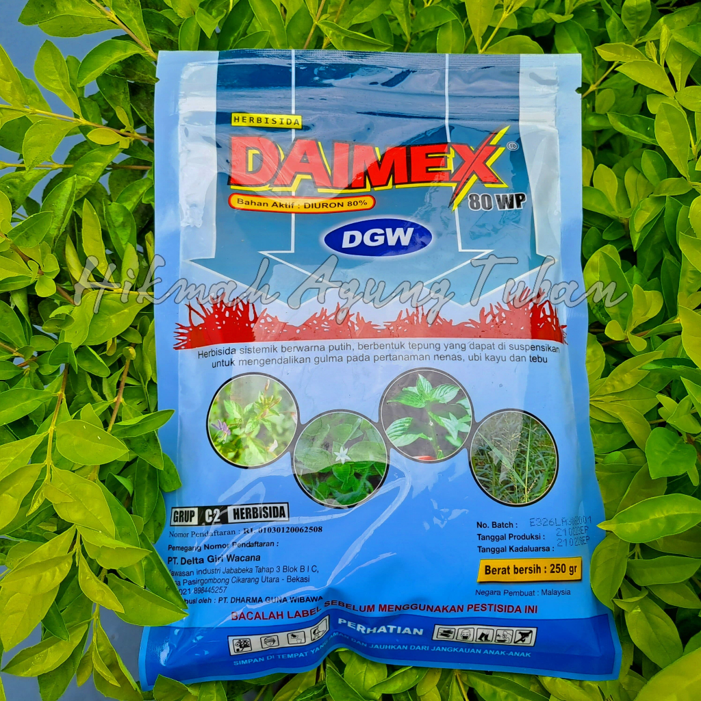 Jual Herbisida DAIMEX 80 WP 250 GRAM - DARMA GUNA WIBAWA | Shopee Indonesia