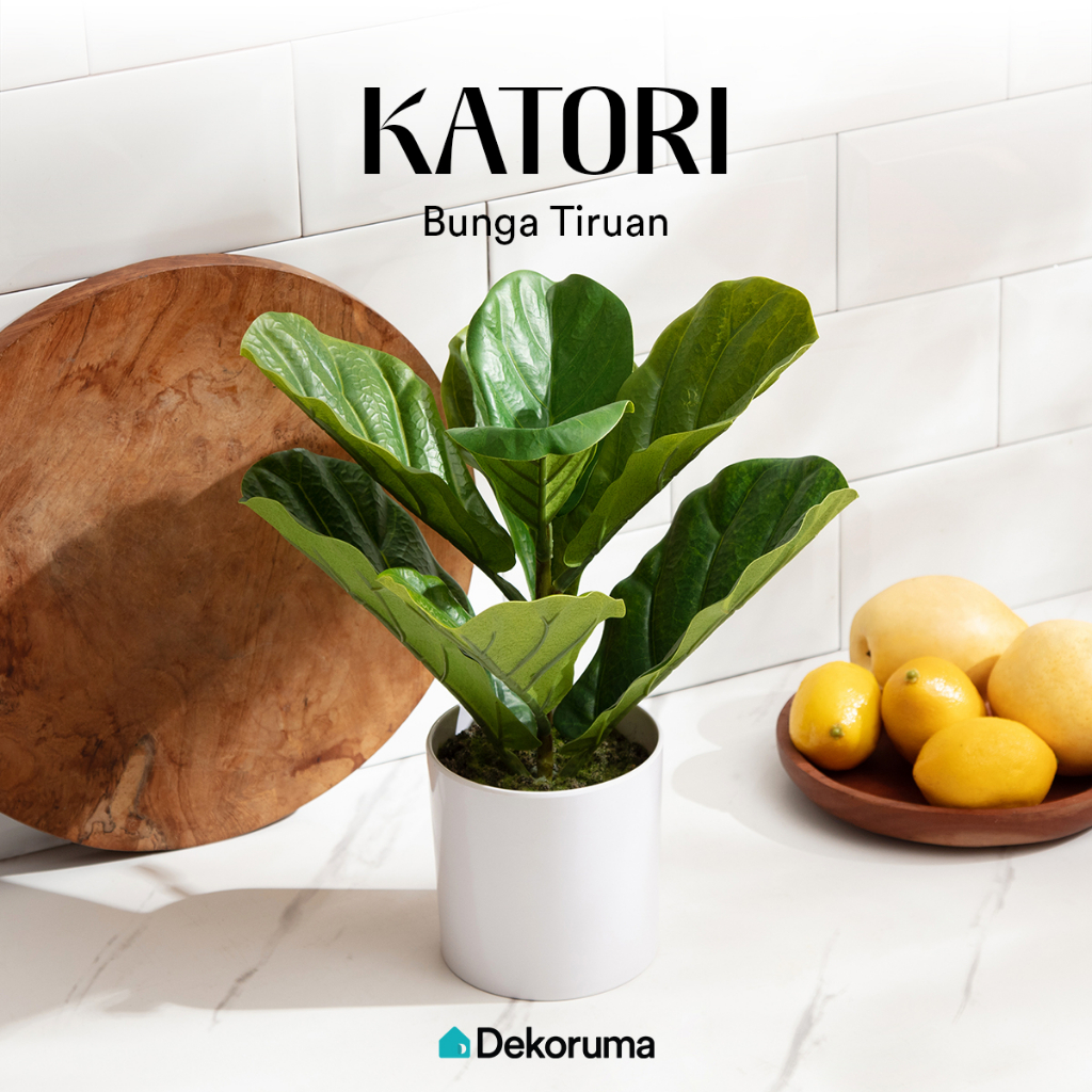 Jual Dekoruma KATORI Tanaman Tiruan Ficus dalam Pot Putih | Shopee ...