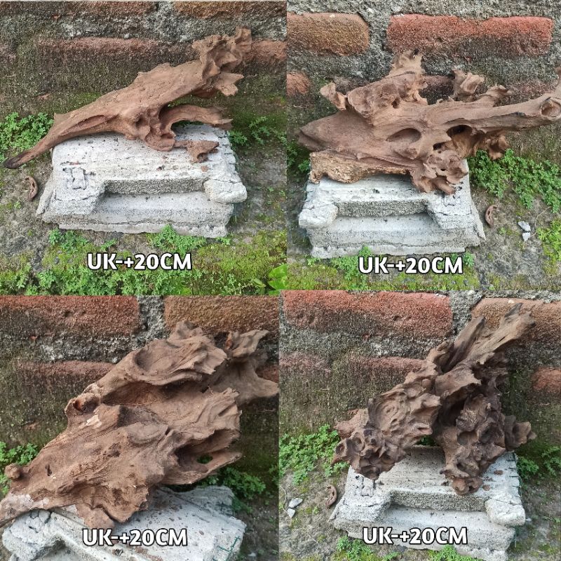 Jual KAYU RANTEK AQUASCAPE & AQUARIUM BAHAN ALAMI | Shopee Indonesia