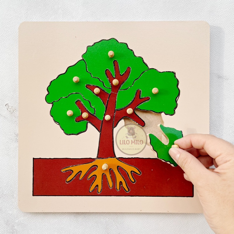 Jual LILOMILO Puzzle Botany Montessori + Control map/Puzzle Pohon Akar ...