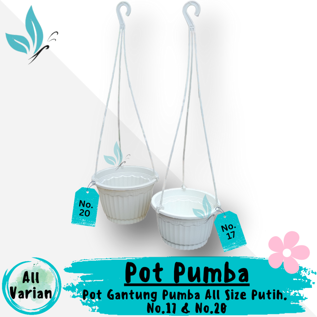 Jual Pot Gantung Pumba Putih Tanaman Rambat Bunga Hias Size 17 dan 20 ...