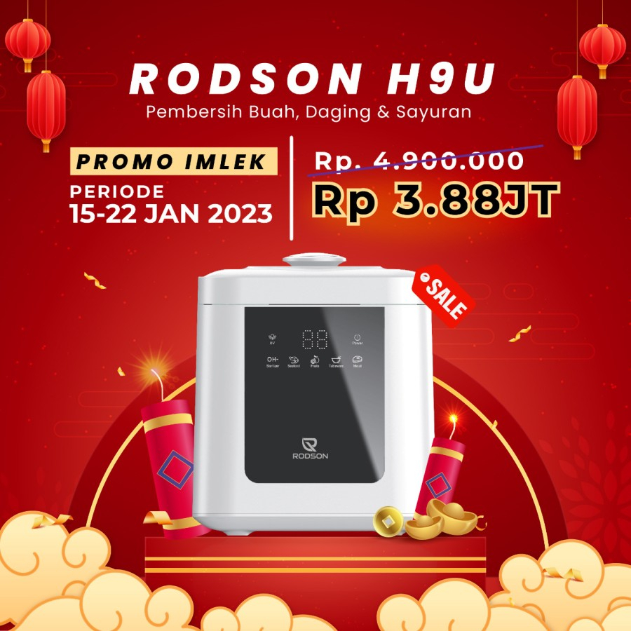 Jual Alat Pembersih Buah , Daging , Sayuran Rodson H9U Fruit Cleaner ...