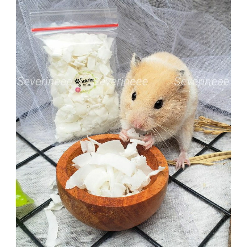 Jual coconut Flakes snack hamster | camilan hamster | snack hamster ...