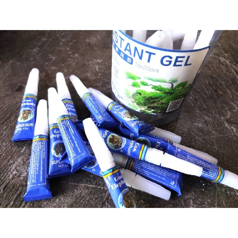 Jual Lem Tanaman Aquascape, lem moss, lem anubias Bucephalandra | Shopee Indonesia