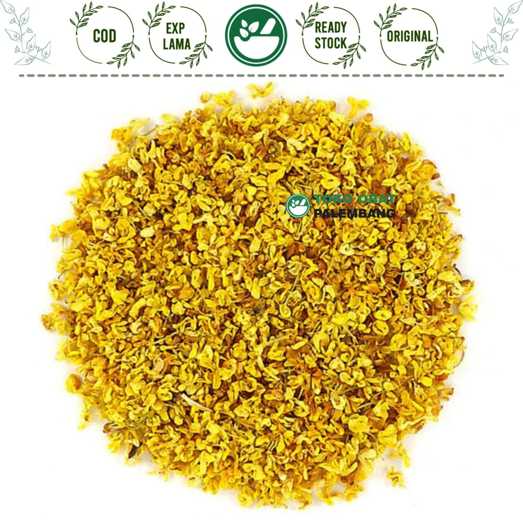 Jual TEH OSMANTHUS TEA 10 GRAM Bunga Herbal GUI HUA CHA OSMANTUS ...