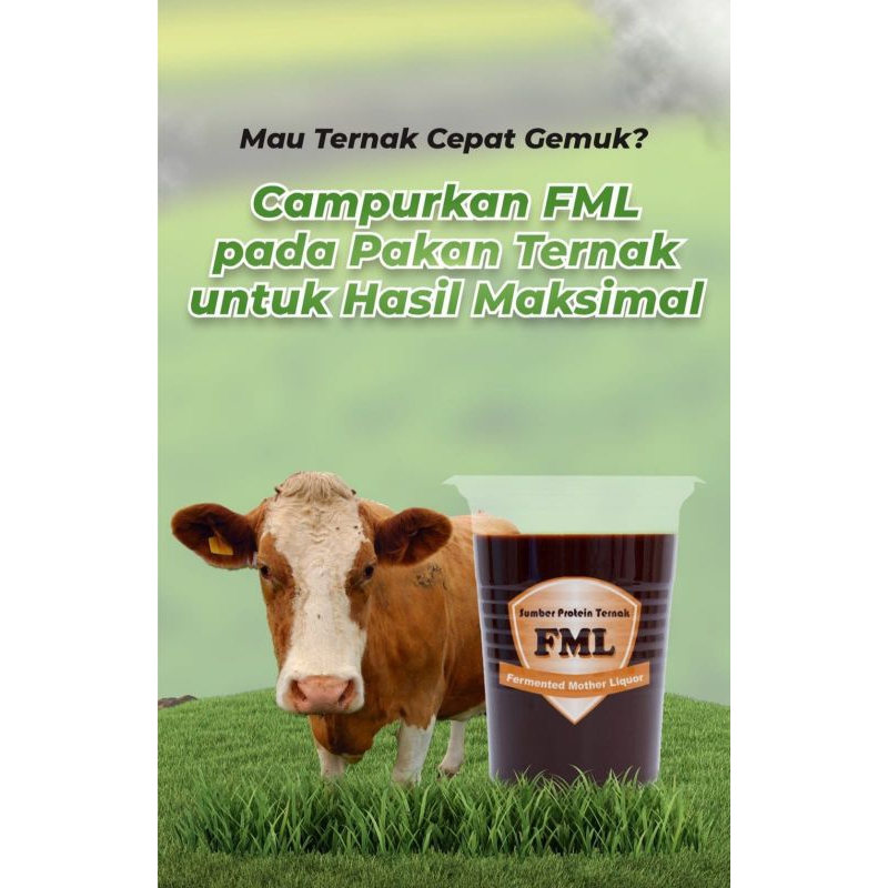 Jual FML 20 Liter | Shopee Indonesia