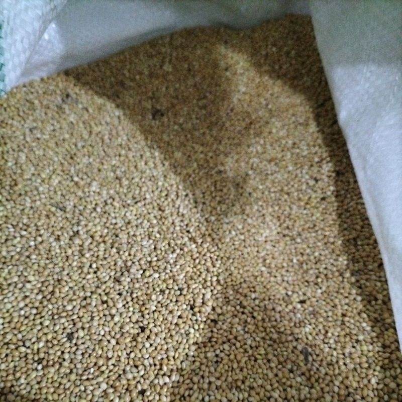 Jual millet kuning per kg | Shopee Indonesia