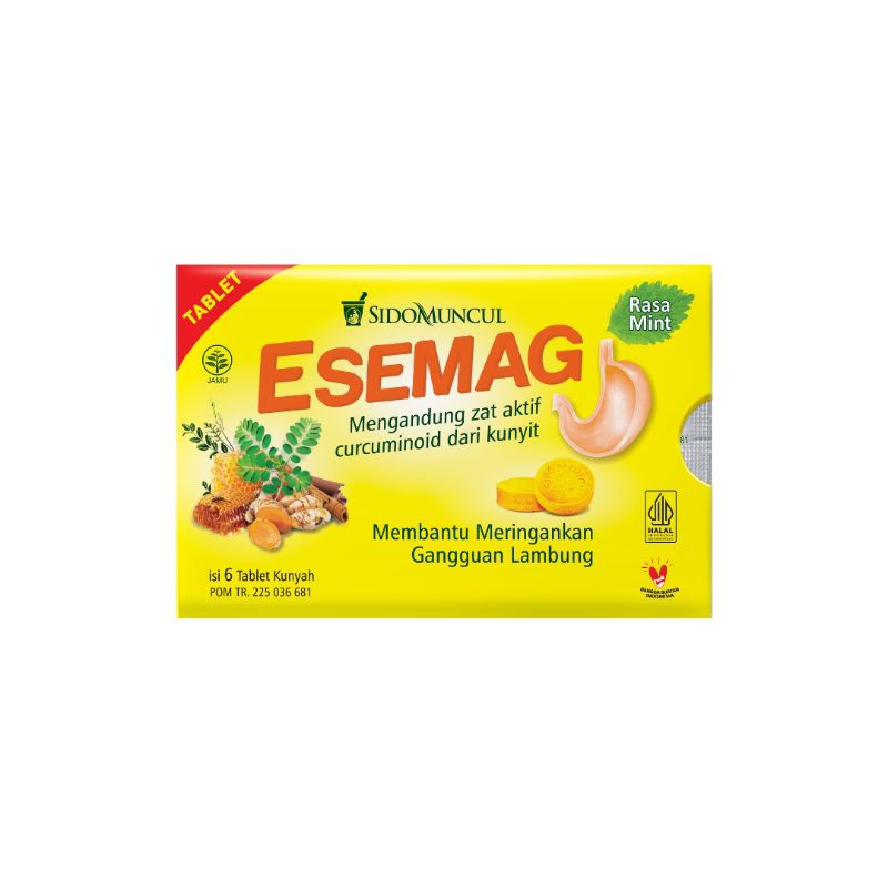 Jual Esemag Tablet Kunyah 1 Strip 6 Tablet | Obat Maag | Shopee Indonesia