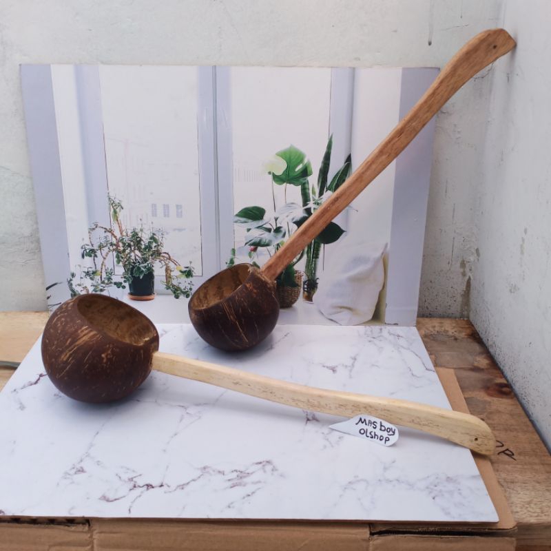 Jual Gayung Air Batok Kelapa Gagang Kayu / Siwur Tempurung Kelapa ...