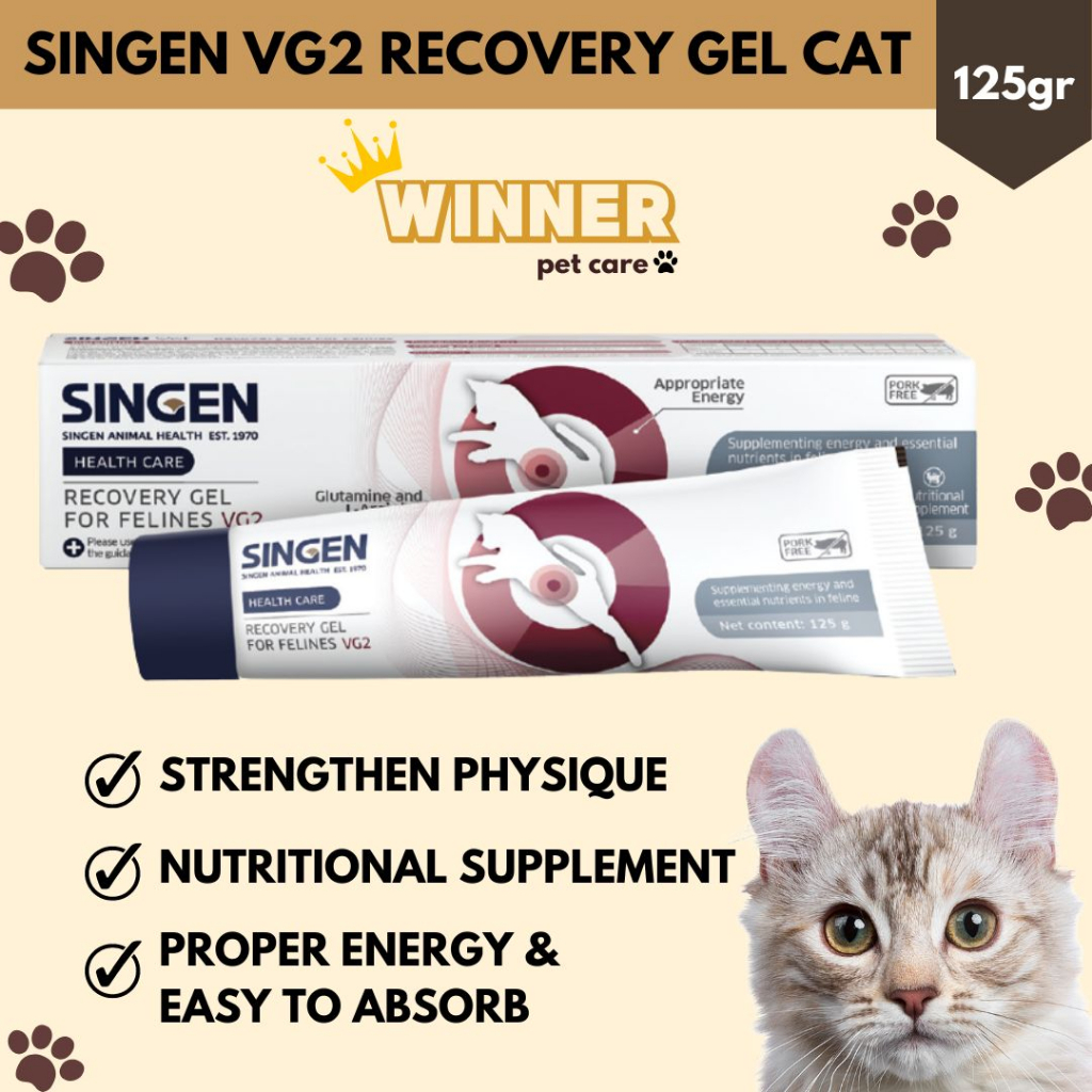 Jual Singen VG2 Recovery Nutrition Gel Plus Cat 125gr | Shopee Indonesia