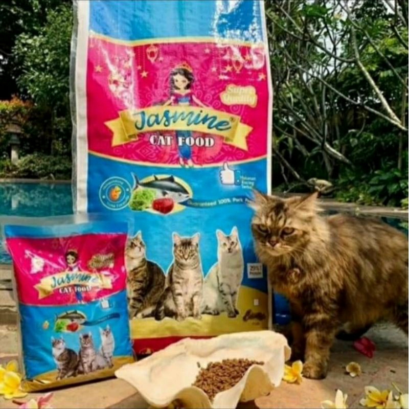 Jual JASMINE CAT FOOD MAKANAN KUCING PREMIUM 20KG BERKUALITAS MURAH ...