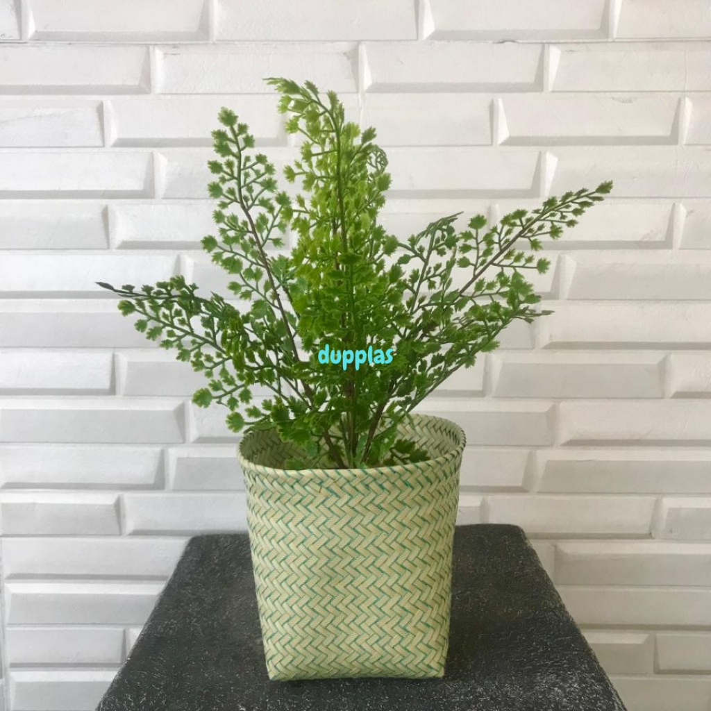 Jual Tanaman Plastik Daun Tapak Ikan Pari X1 Cover Pot Purun Sintetis ...